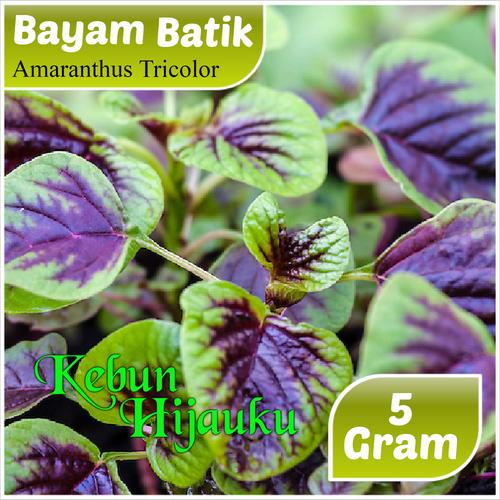 Jual Benih Biji Sayur Bayam Batik - Bayam Batik Unggul - Kab. Badung - Kebun Hijauku | Tokopedia