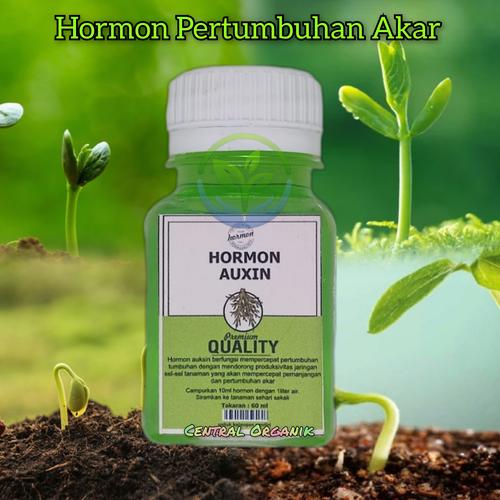 Jual Hormon Auksin Alami Memacu Pertumbuhan Akar - Kab. Bantul ...