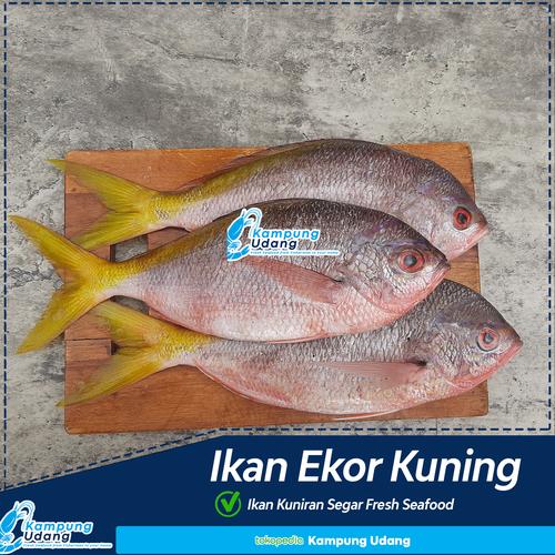 Jual Ikan Kuniran Segar/Ikan Ekor Kuning (bersih sisik) Fresh/Ikan ...