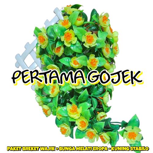 Jual Bunga Plastik/Daun Rambat/Rumput Plastik/Busa Bunga/Oasis/Melati ...