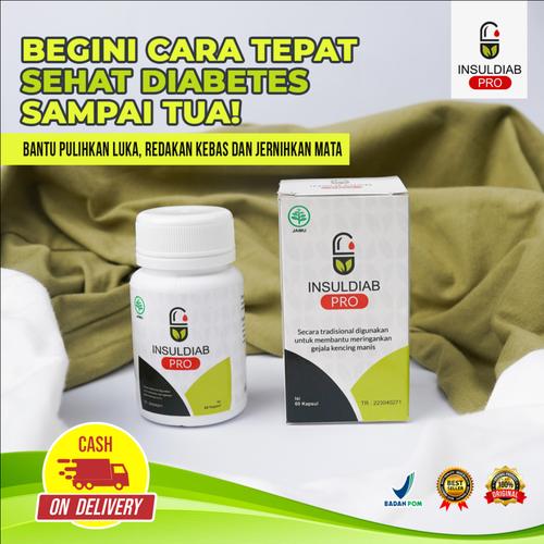 Jual Insuldiab Pro Obat Herbal Diabetes Kencing Manis Gula Darah Tinggi ...