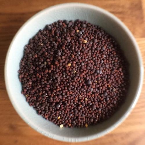 Promo Black Mustard Seed 100gram / Biji Sawi Hitam - Kota Tangerang ...