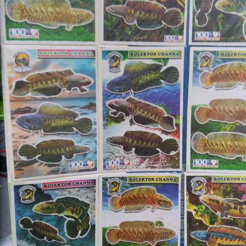 Jual Stiker Ikan Chana _ Random sticker - Kota Tangerang - DMT_Toys ...