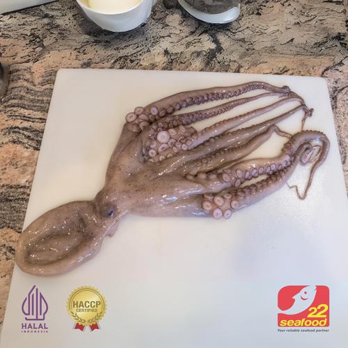 Jual Octopus Utuh 1 kg / Gurita isi 1-3 ekor / Seafood 22 - Jakarta ...