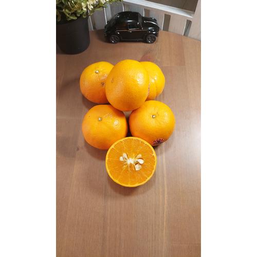 Jual Jeruk honey murcot australia 1 kg by Alif Fruit - Kab. Bekasi ...