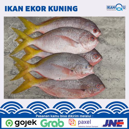Jual Ikan Ekor Kuning Kuniran Fresh (bersih sisik)/Ikan Kuniran Seafood ...