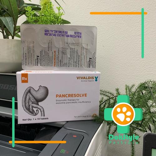Jual Pancresolve enzym pencernaan anjing kucing original mirip panakare ...