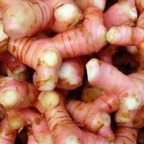 Jual Rempah bumbu rimpang lengkuas 1 kg - Kab. Bogor - Meydiyan | Tokopedia