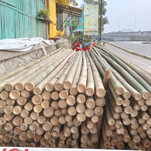 Jual Bambu Steger diameter 8cm - 9cm. Panjang 6 meter - Jakarta Utara ...