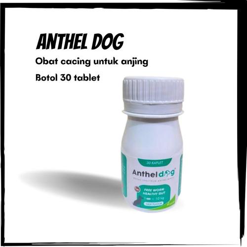 Jual Anthel Dog - Obat Cacing Anjing - Botol 30 Tablet - Box isi 30 ...