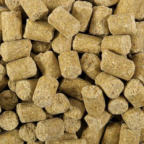 Jual PELET pakan RAT BIO makanan TIKUS putih hamster RATBIO REPACK 1 KG ...