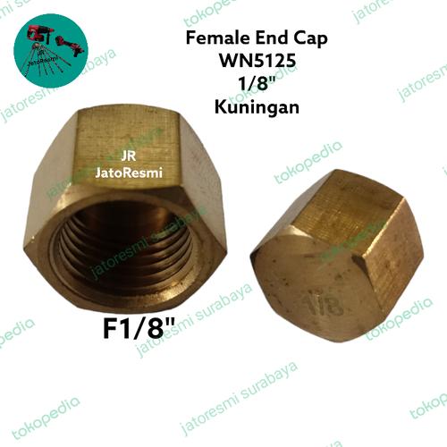 Jual Female End Cap WN5124 F 1/8" Kuningan Tutup Naple Drat Dalam Kuningan - Kota Surabaya ...