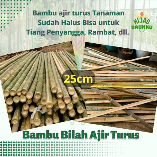 Jual Bambu Ajir Turus 25cm Pring Penyanggah Tiang Kebun Tanaman Rambat ...