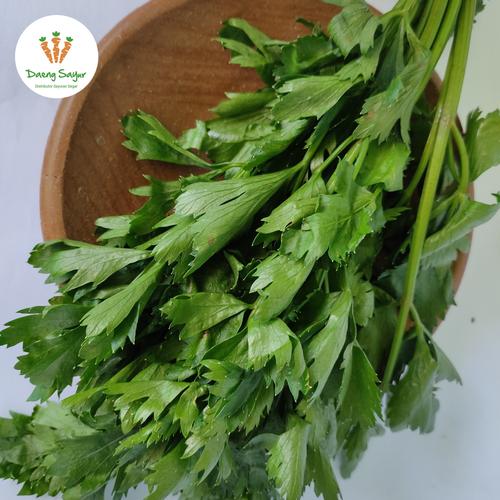 Jual Daun Seledri Daun Sop Segar - 1ikat - Kota Makassar - Daeng Sayur ...