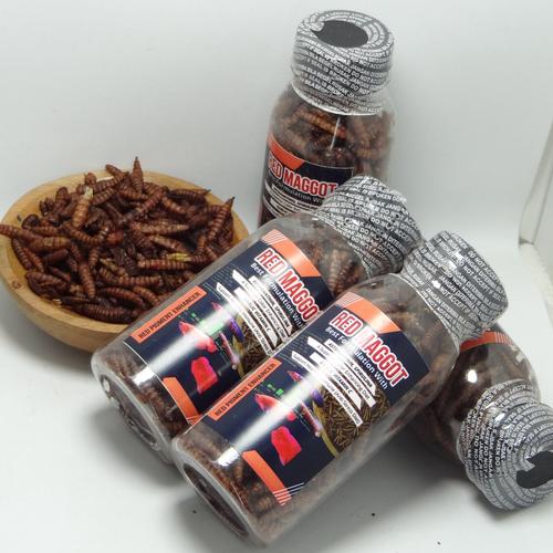 Jual Kemasan botol RED maggot - Kab. Tulungagung - Demi Pellets | Tokopedia