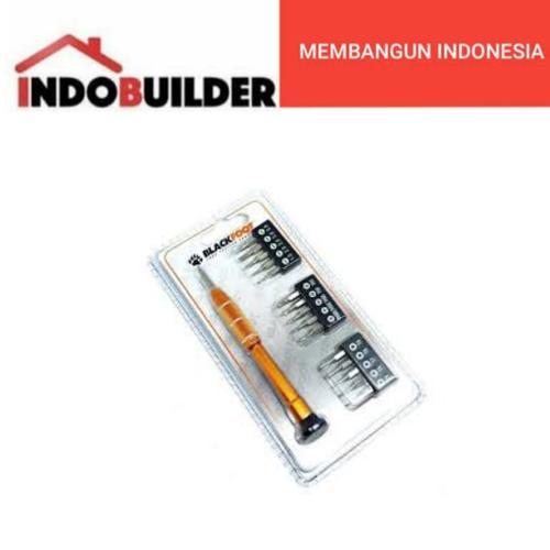Jual OBENG SET PRESISI 17 PCS BLACKFOOT TIPE PEN / OBENG JAM HP ...