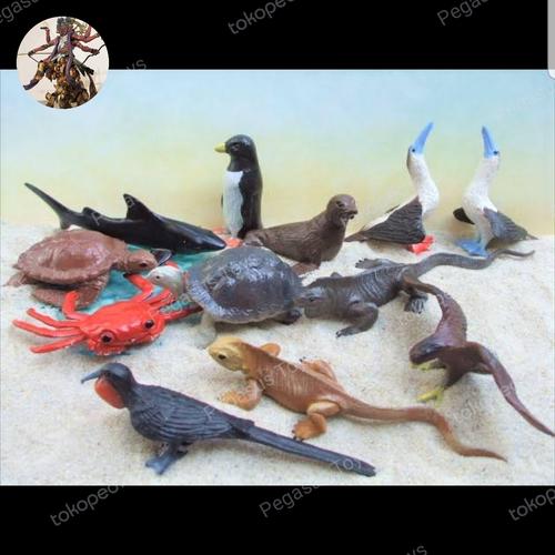 Jual Safari Ori Galapagos island animals complete mini figure set ...