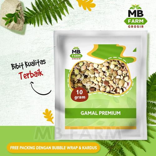 Promo Benih gamal premium 10 gram / bibit gamal gliricidia sepium MB ...