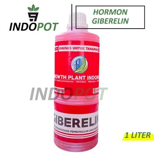Jual Hormon Tanaman Giberelin 1 Liter Pemercepat Tumbuh Tanaman - Kota ...
