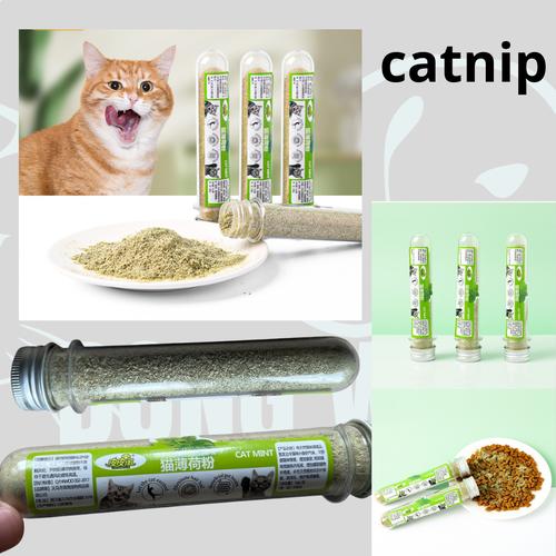 Jual dongwu CATMINT POWDER Cat Mint Catnip Powder snak Kucing Cat ...