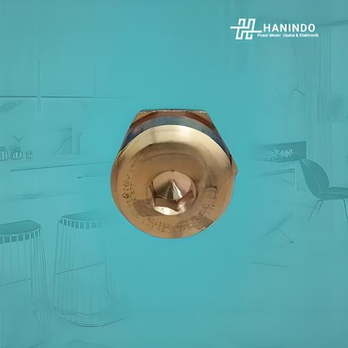 Jual Eaton Raxton Cva4300eu Breather Drain 3/4 Npt, 10 Mm - Kota ...