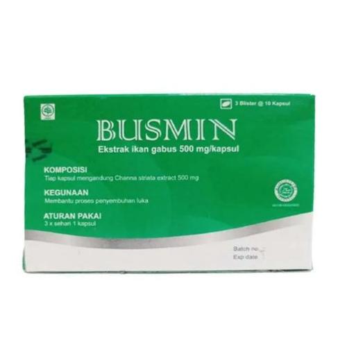 Jual BUSMIN KAPSUL BOX ISI 30 TABLET - Ekstrak ikan gabus serupa ...