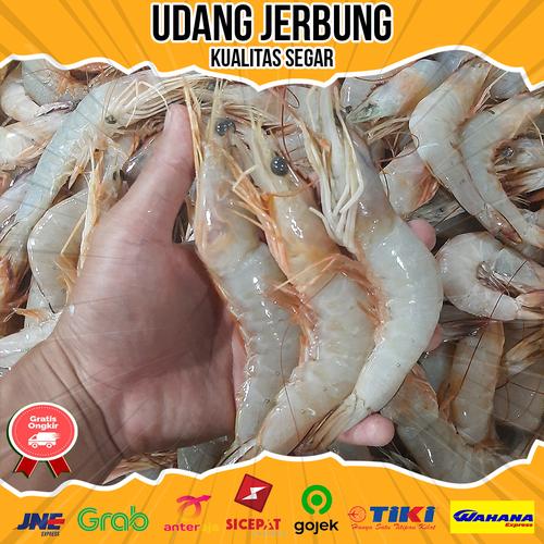 Jual Jerbung Udang Laut Frozen-Fresh/udang banana seafood/Udang Jerbung ...