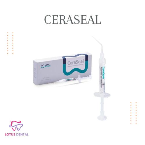 Jual Dental Meta CeraSeal Bioceramic Root Canal Sealer - Jakarta Utara ...