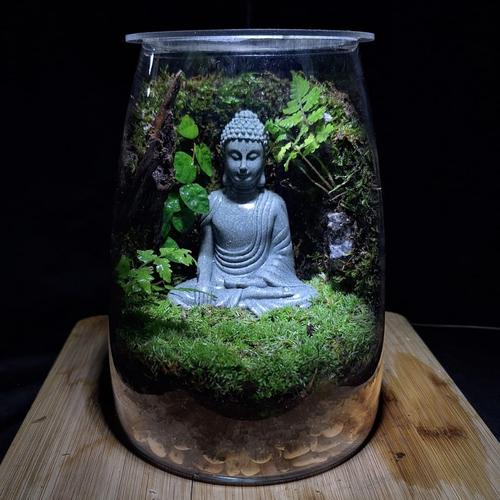 Jual Closed Terrarium - Hidden Temple | indoor decoration| premium gift ...