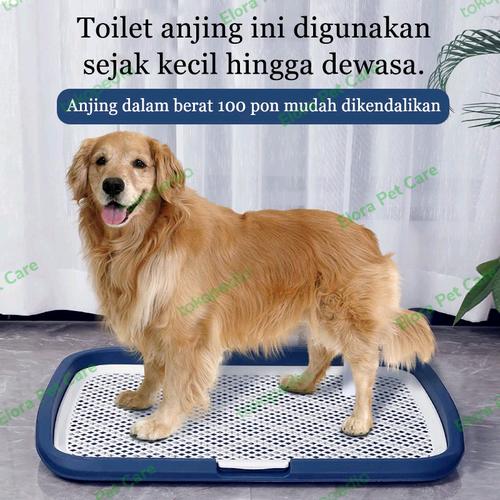 Jual Pet Toilet Potty Training Tempat Pipis Pup Anjing Kucing Large E01 ...