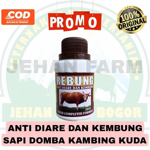 Jual Rebung Sapi 120 ml Obat diare dan kembung sapi kambing domba kuda ...
