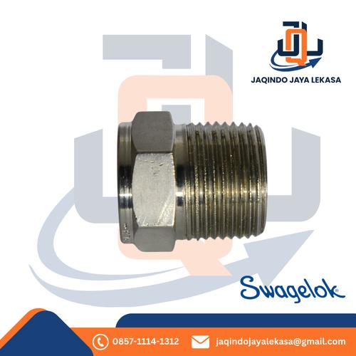 Jual Hex Plug 3/4" MNPT SS316 Swagelok SS-12-P - Jakarta Pusat - Jaqindo Jaya Lekasa | Tokopedia