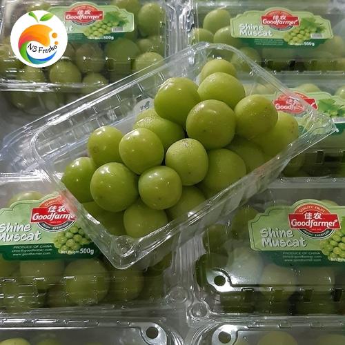 Jual Buah Anggur Muscat Anggur Muskat Manis Segar Anggur Hijau Muscat ...