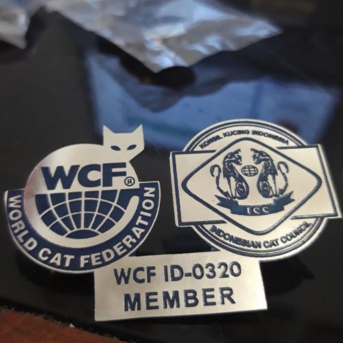 Jual Pin Logo/ Pin Custom/ Pin Design/ Pin Grafir/ Pin Stainless/Bros ...