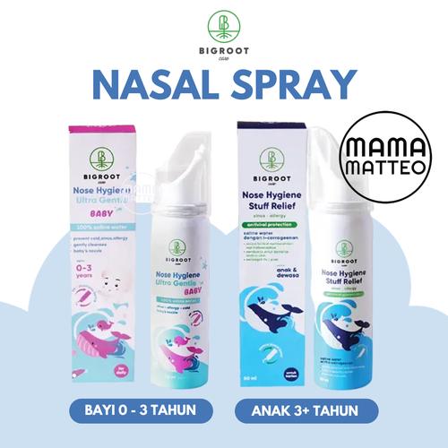 Jual BIGROOT Halal Nose Hygiene Spray Bayi Anak / Semprot Hidung BIG ...