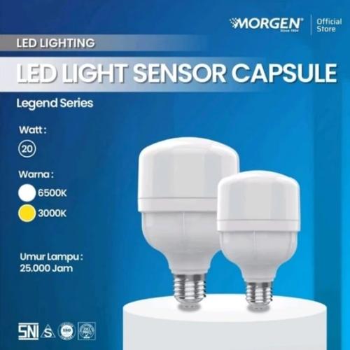 Promo Lampu LED Sensor Cahaya / Led Sensor Light Morgen 20W 3000K Warm ...
