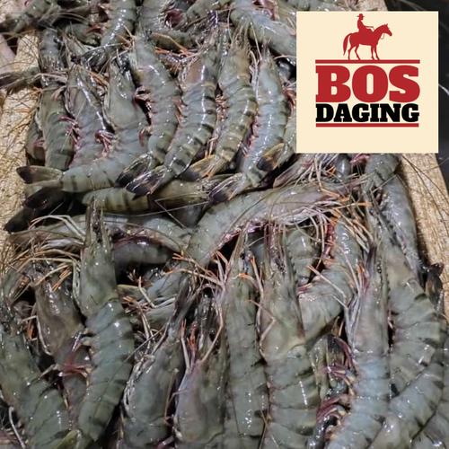 Jual Udang segar JUMBO / udang windu JUMBO / udang pacet / ikan laut ...