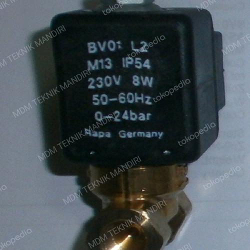 Jual solenoid Valve Rapa 1/8 inch + kabel power original german ...