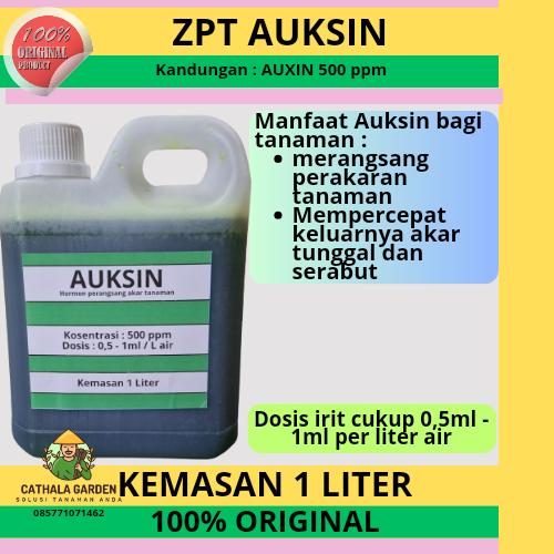 Jual ZPT HORMON TANAMAN AUKSIN 500 PPM KEMASAN 1 LITER - Kota Malang ...
