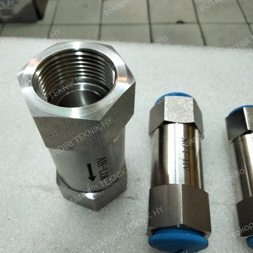 Jual CHECK VALVE STAINLESS SS316(CF8M) UKURAN 1/2 INCH NPT - Jakarta ...