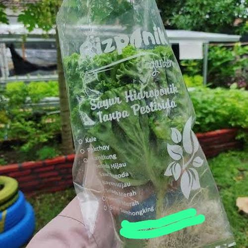 Jual SABLON KEMASAN PLASTIK SAYUR HIDROPONIK 1 WARNA SESUAI NAMA PRODUK ...