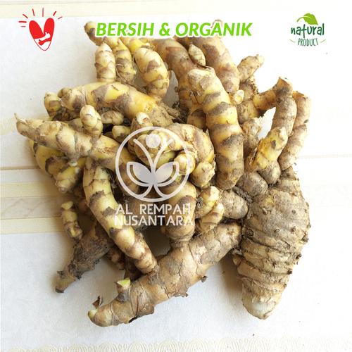 Jual Temu Giring Segar 1kg Organik dari Gunung Kidul - Kab. Klaten - Al ...