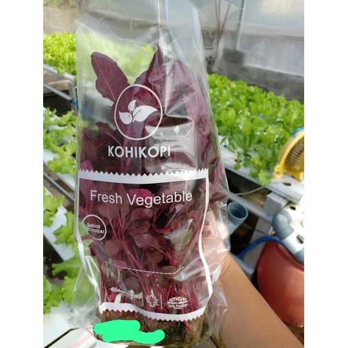 Jual SABLON KEMASAN PLASTIK SAYUR HIDROPONIK 1 WARNA SESUAI NAMA PRODUK ...