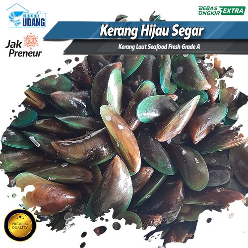 Jual kerang hijau fresh/Kerang ijo PRAKTIS/Kerang Laut Segar - 500gr ...