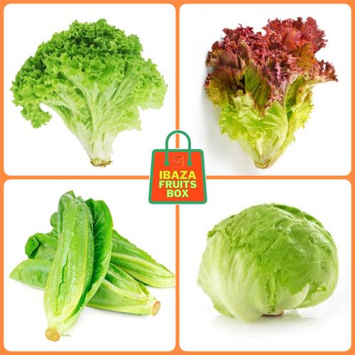 Promo Sayur Segar Selada Romaine, Lettuce, Selada Merah, Selada ...