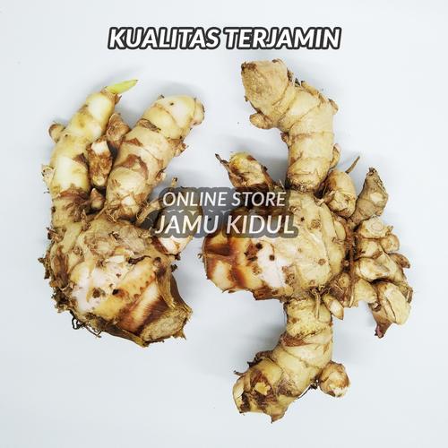 Jual TEMU IRENG Atau TEMUIRENG 1 KG SEGAR dan BESAR - Kab. Klaten ...