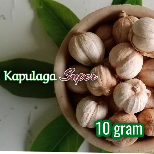 Jual Rempah Cengkeh Kapulaga Kayu Manis Biji Pala Mace Fuli - Kapulaga ...