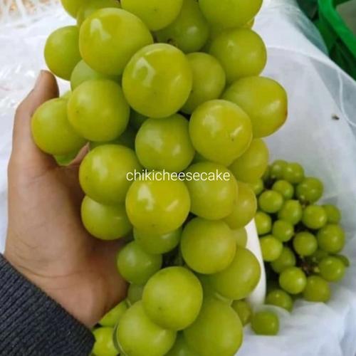 Jual ANGGUR HIJAU SHINE MUSCAT FRESH SEGAR SEEDLESS TANPA BIJI GREEN ...