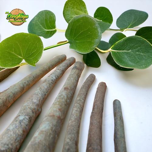 Jual Wood Branch Tree 1-2x85 Cm Dahan kayu potongan kayu bahan craft ...