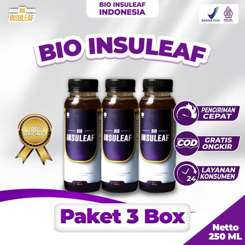 Jual Bio INSULEAF Penambah Insulin untuk Diabetes dan Kencing Manis ...